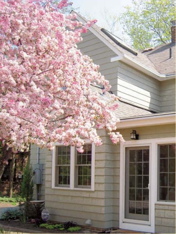 A GROWING HOME – Levine Architecture and Design